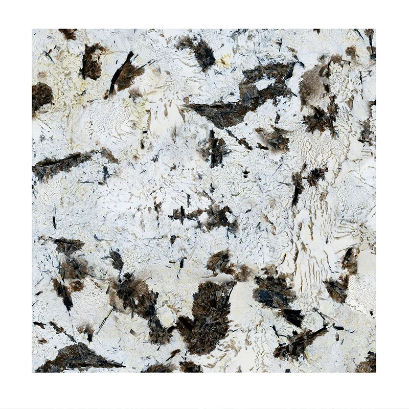 Light Color Luxury Stone Large Slab 800x800 Ceramic Tile Full Body ...
