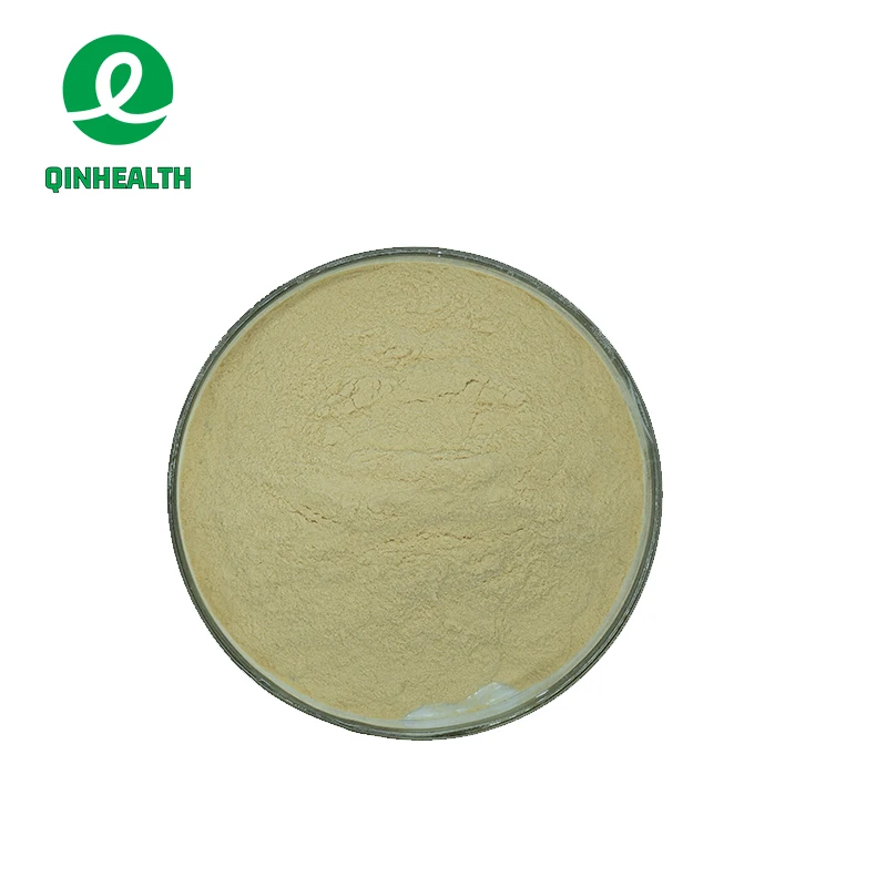 High Quality Gynostemma Pentaphyllum Extract Powder 98% Gypenosides Powder - Buy Gypenoside,Bio ...