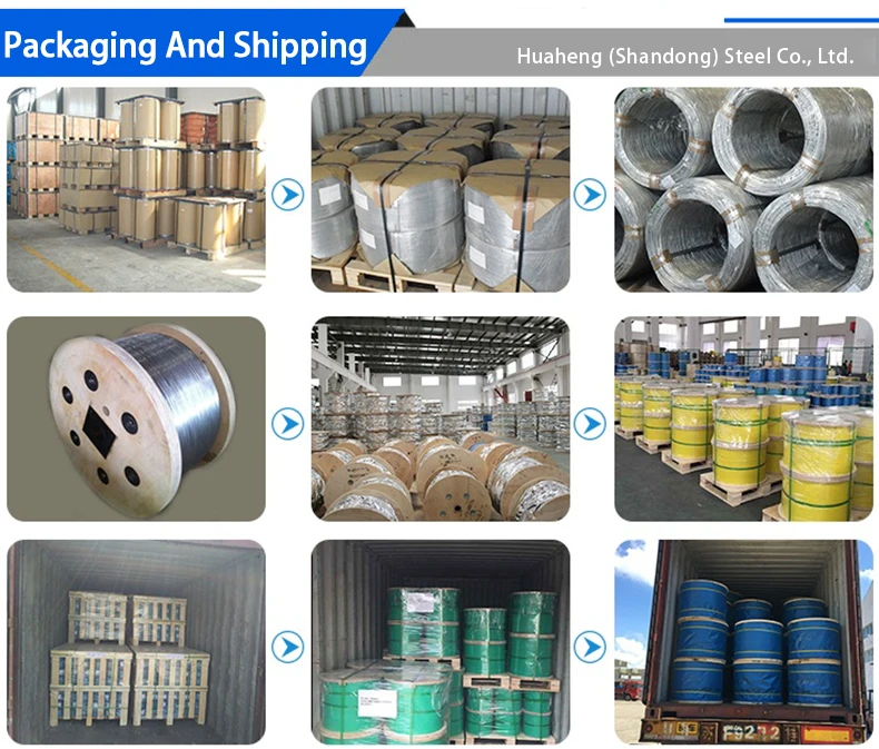 Ms Steel Wire Rod Sae 1008 /1006 0.3mm 6.5mm Astm 14 Gauge Hot Dipped ...