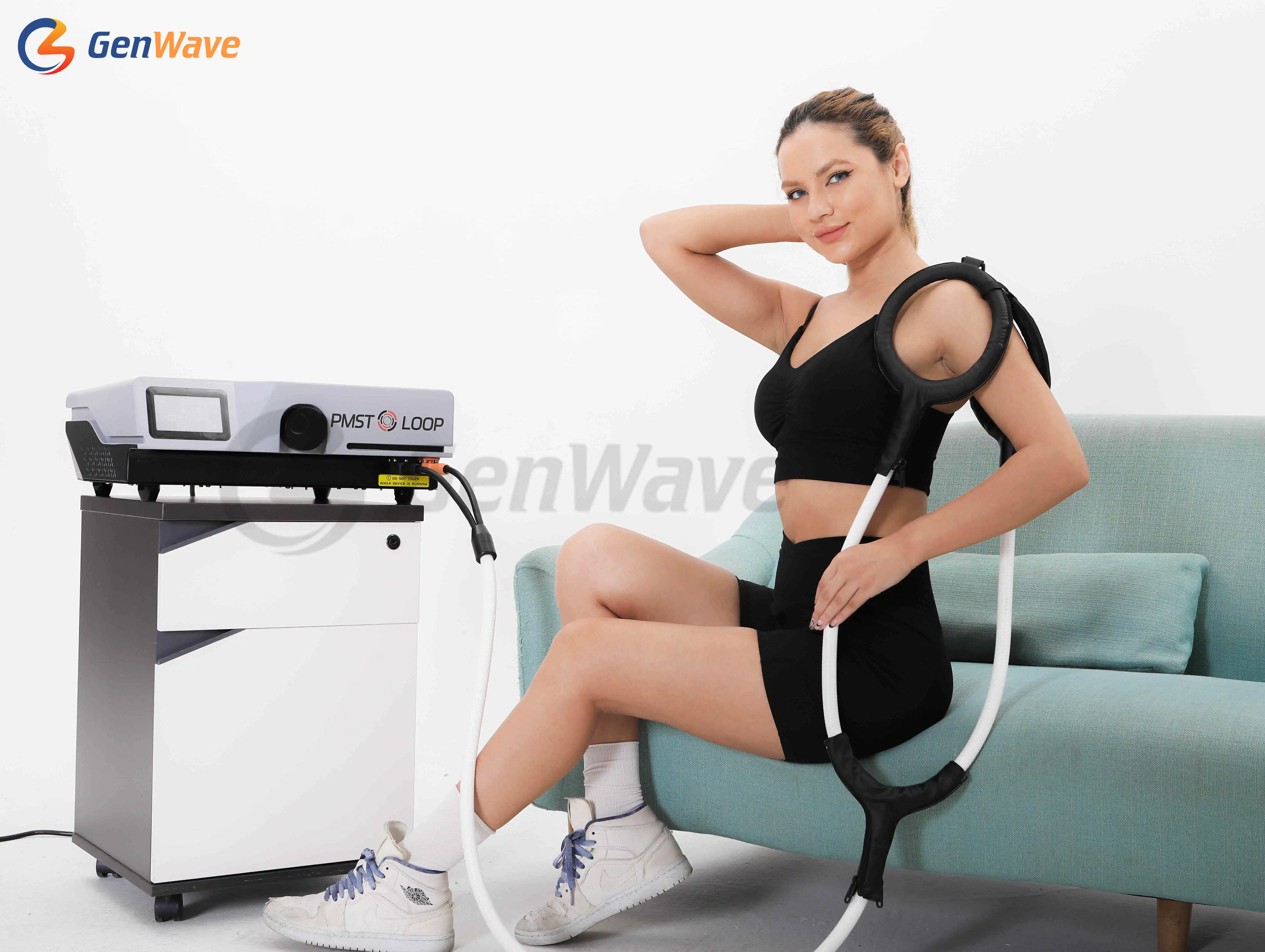 Pemf Mat Whole Body Therapy Device Pemf Loop Paddles Magnetic Pmst Loop ...