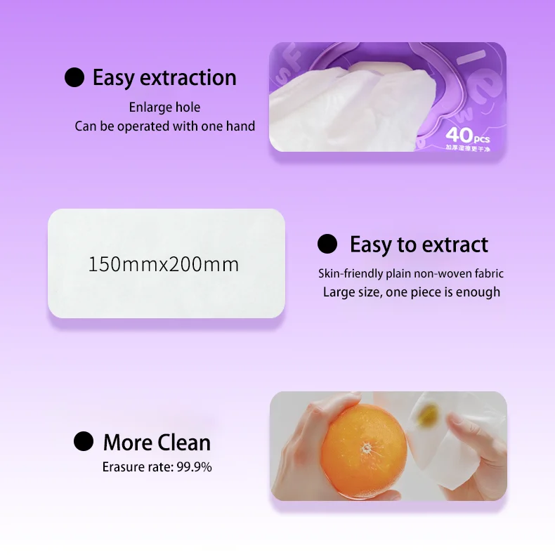 Eco-Friendly Biodegradable Disposable Moist Toilet Tissue Household and ...