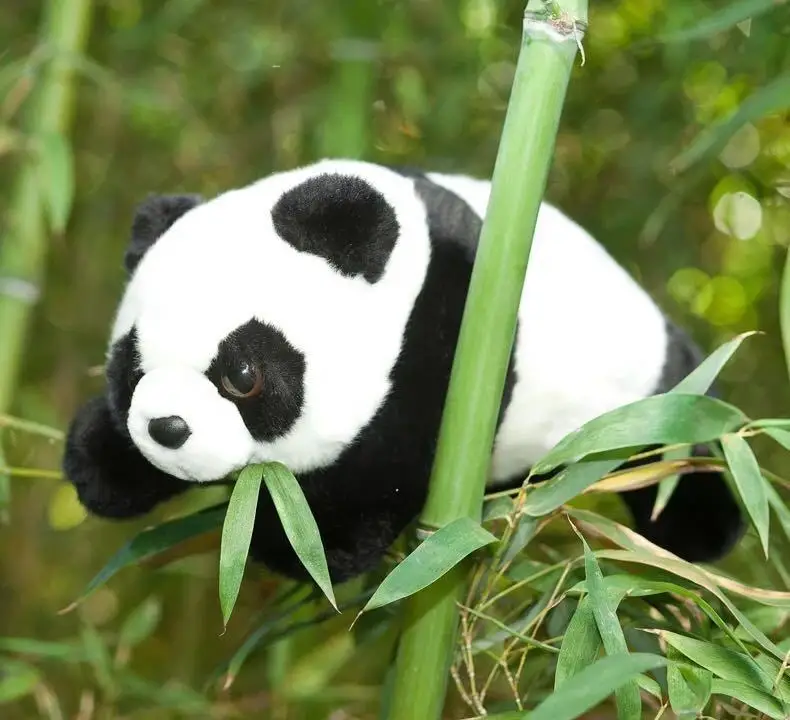 Animal Custom Plush Stuffed Pandas Bear Educational Toys For Kids Gift ...