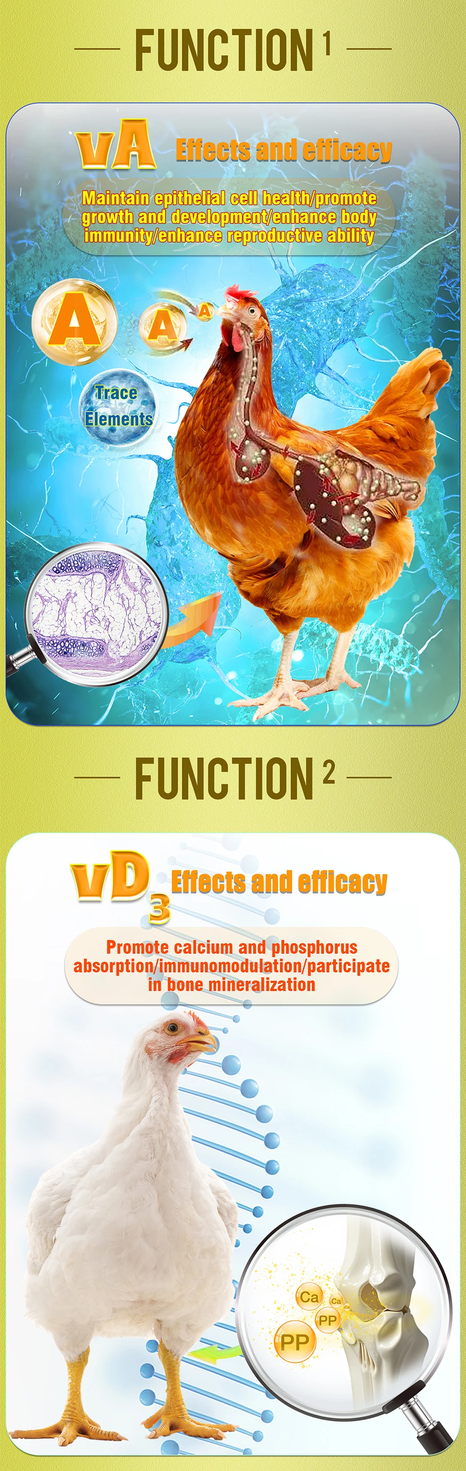 Broiler Growth Booster Multivitamin Oral Solution for Broiler Layer ...