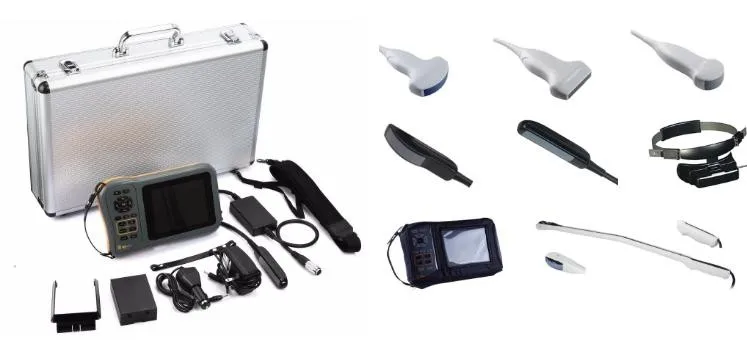 Bmv Handheld Veterinary Ultrasound Portable Ecografo Unilever Farmscan ...