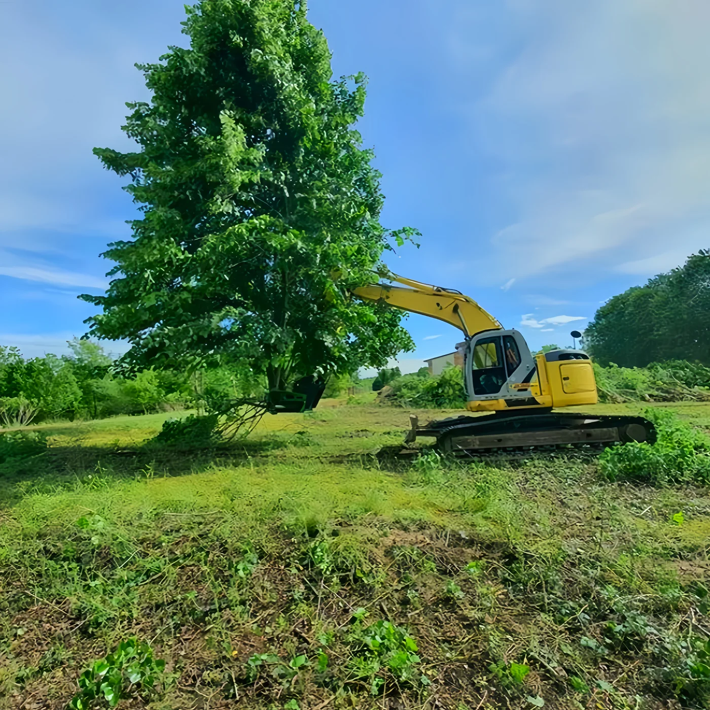 Mini Excavator Rotary Hydraulic Tree Shear for Sale| Alibaba.com