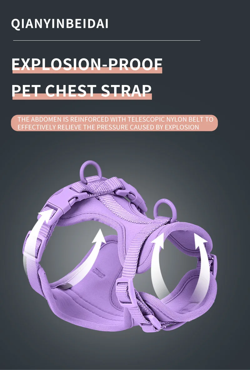 Shop Our in Stock PVC Waterproof Dog Harnesses & Leashes