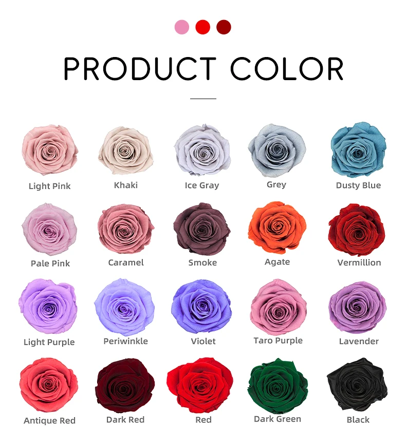 Immortal Flower Glass Cover Little Prince Red Rose Proposal ...