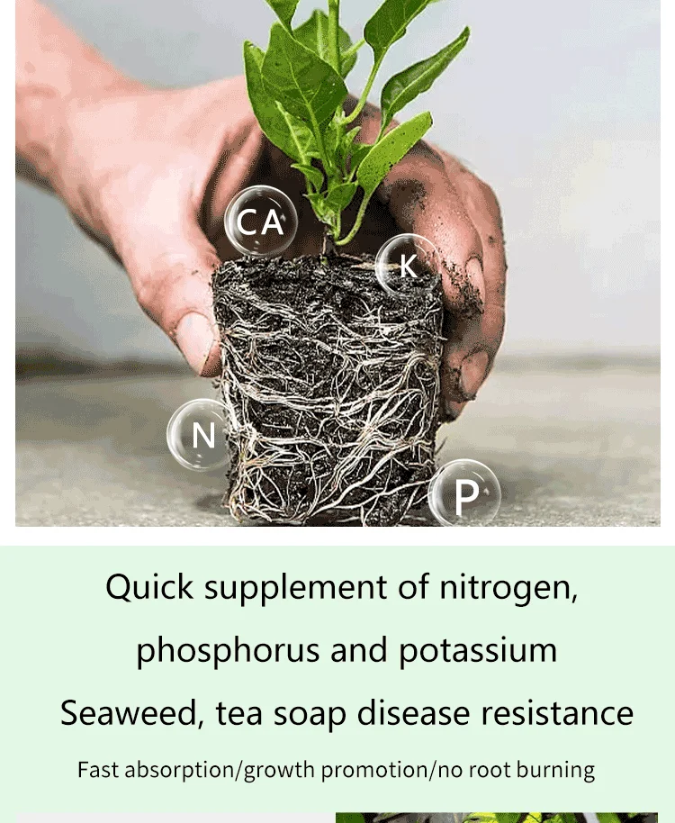 Organic Nitrogen Liquid Nutrient Solution Fertilizer - Buy Liquid ...