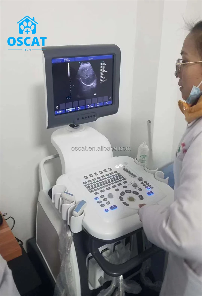 OSCAT Veterinary Equipment - Advanced Ultrasound Solutions