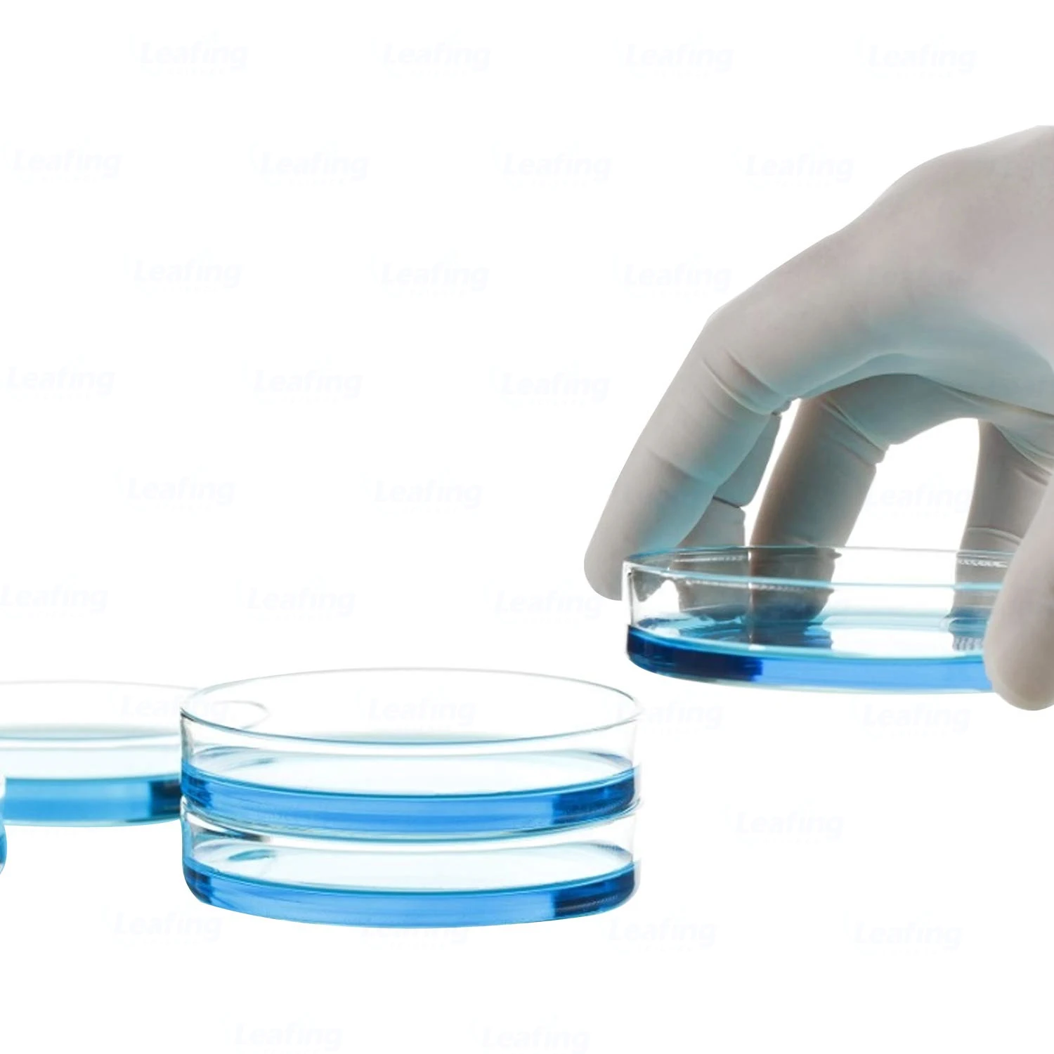 Disposable Plastic Sterile 90x15mm Agar Plates 9cm Petri Dish| Alibaba.com
