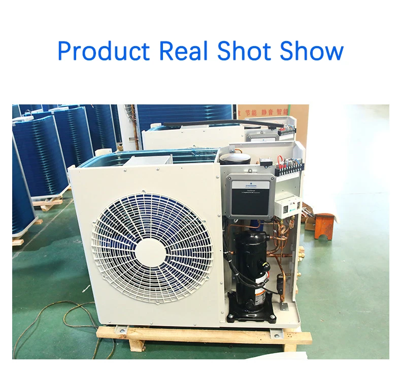 Cold Storage Refrigeration Unit Refrigerated Freezing Equipment ...