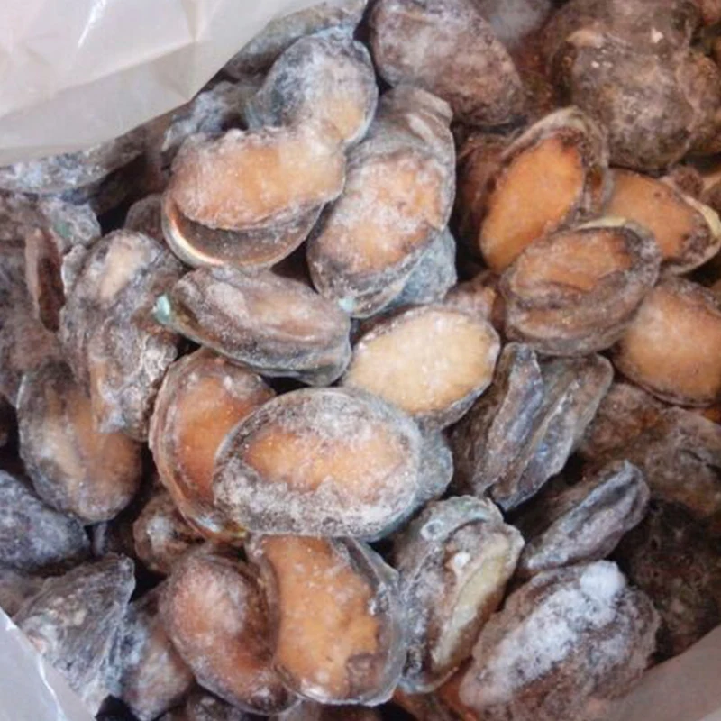 Wholesale High Quality Natural Abalone Freeze Air Dried Large Abalone ...
