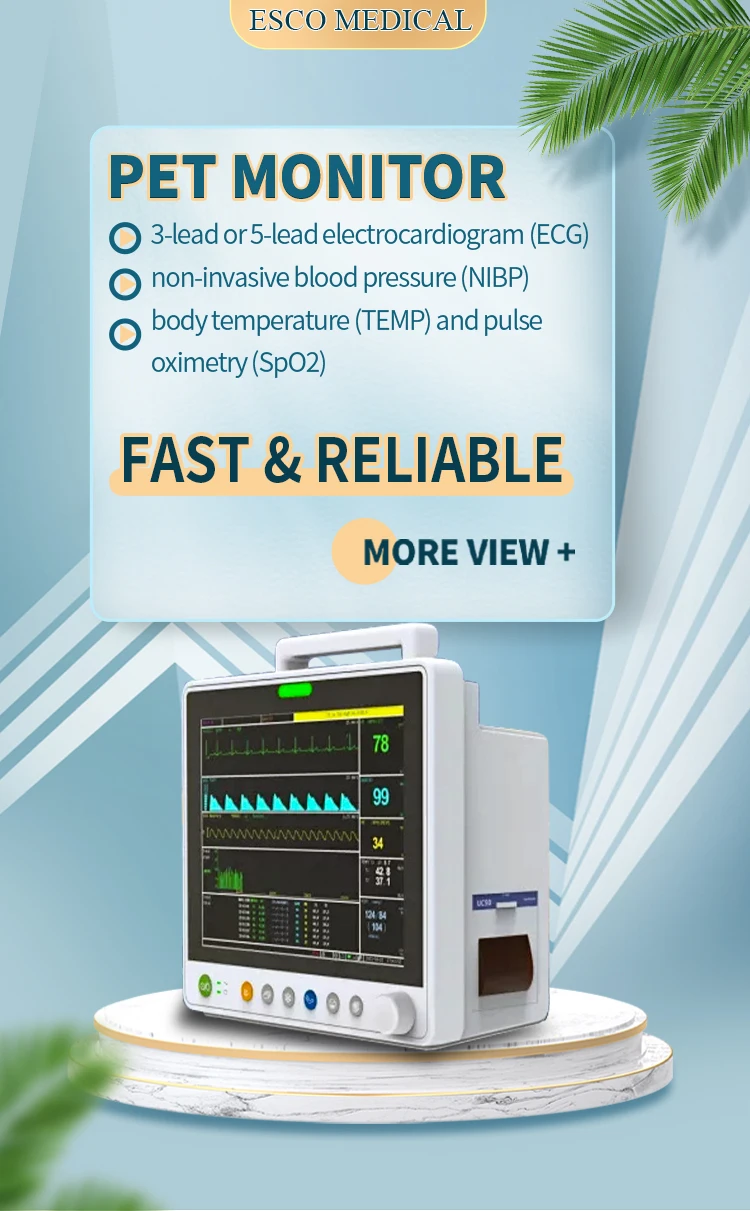 Cost-effective Veterinary Equipment 12.1 Inch Large-sized Screen Etco2 ...