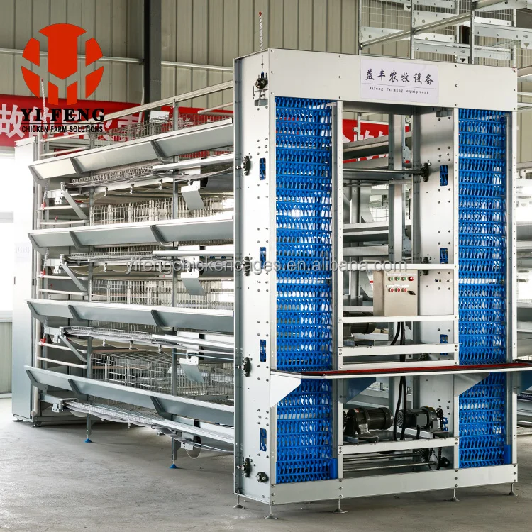 H Type Closed Poultry Farming House Complete Automatic Battery Chicken ...