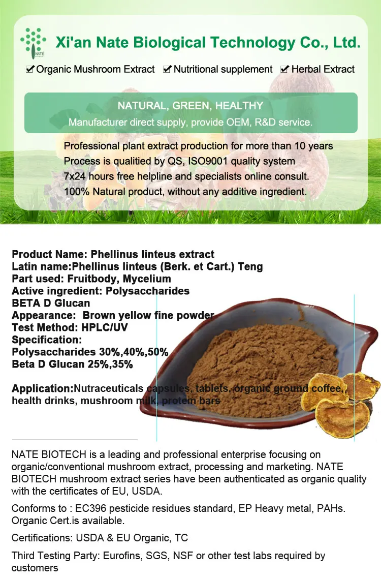 Dietary Supplements Material Powdered Of Phellinus Linteus Mushroom ...