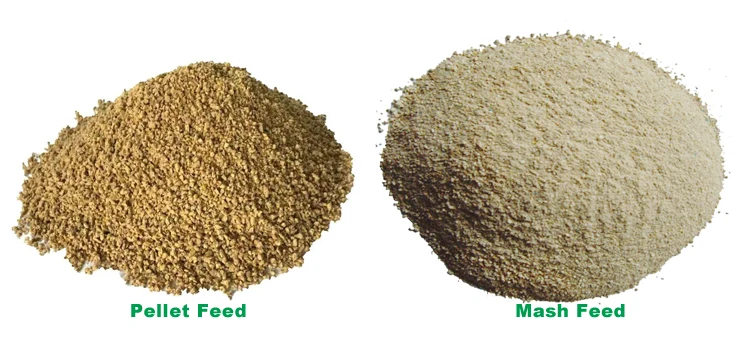 High Protein Chicken Concentrate Feed Premix for Layers & Broilers