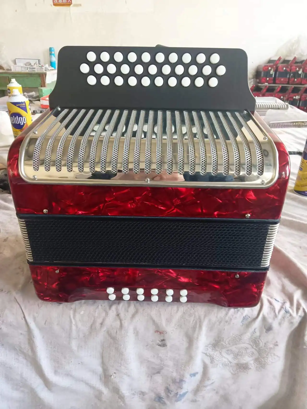 31 Key 12 Bass Button Accordion - Diatonic Key Accordion with ABS Case ...