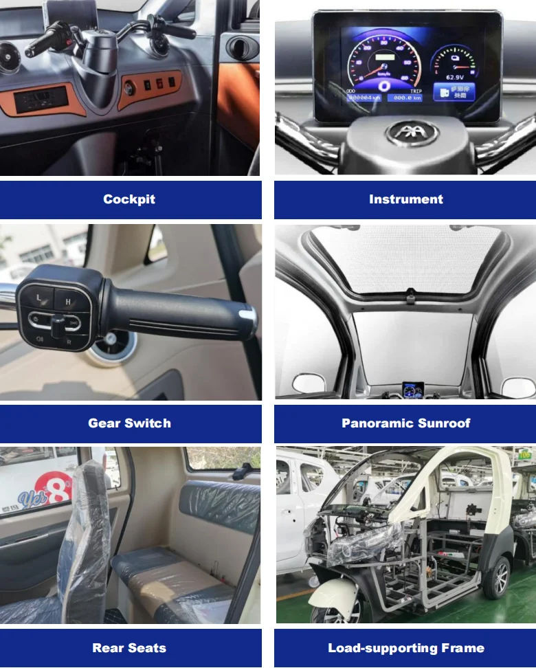 Raysince Three-Wheeled Electric Tricycle Car From China for Adults| Alibaba.com