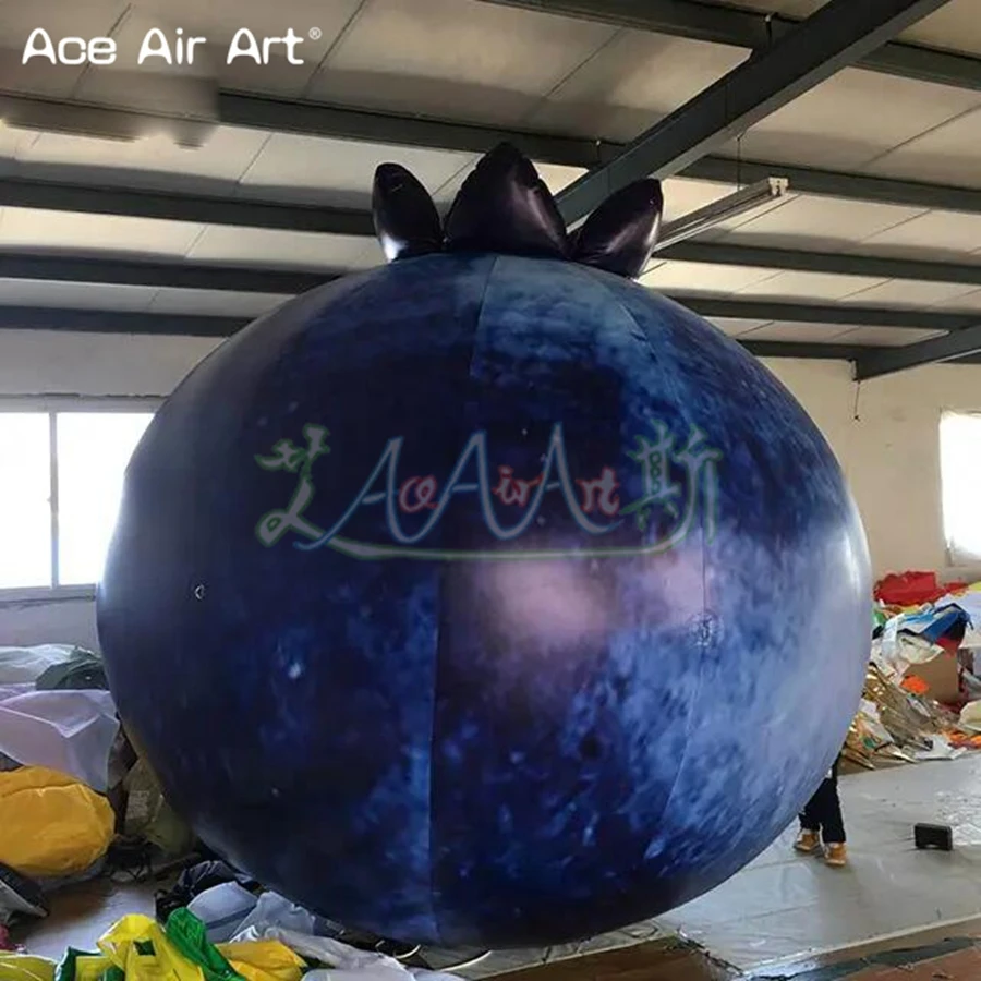 Alibaba.com: Giant 5m Blueberry Inflatable Balloon Model, Oxford ...
