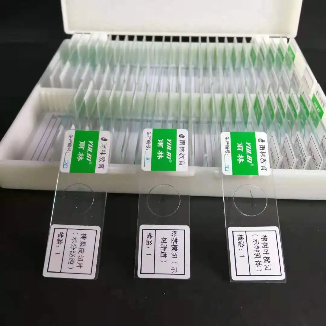 Medical Insects Mosquito Prepared Microscope Slides Set