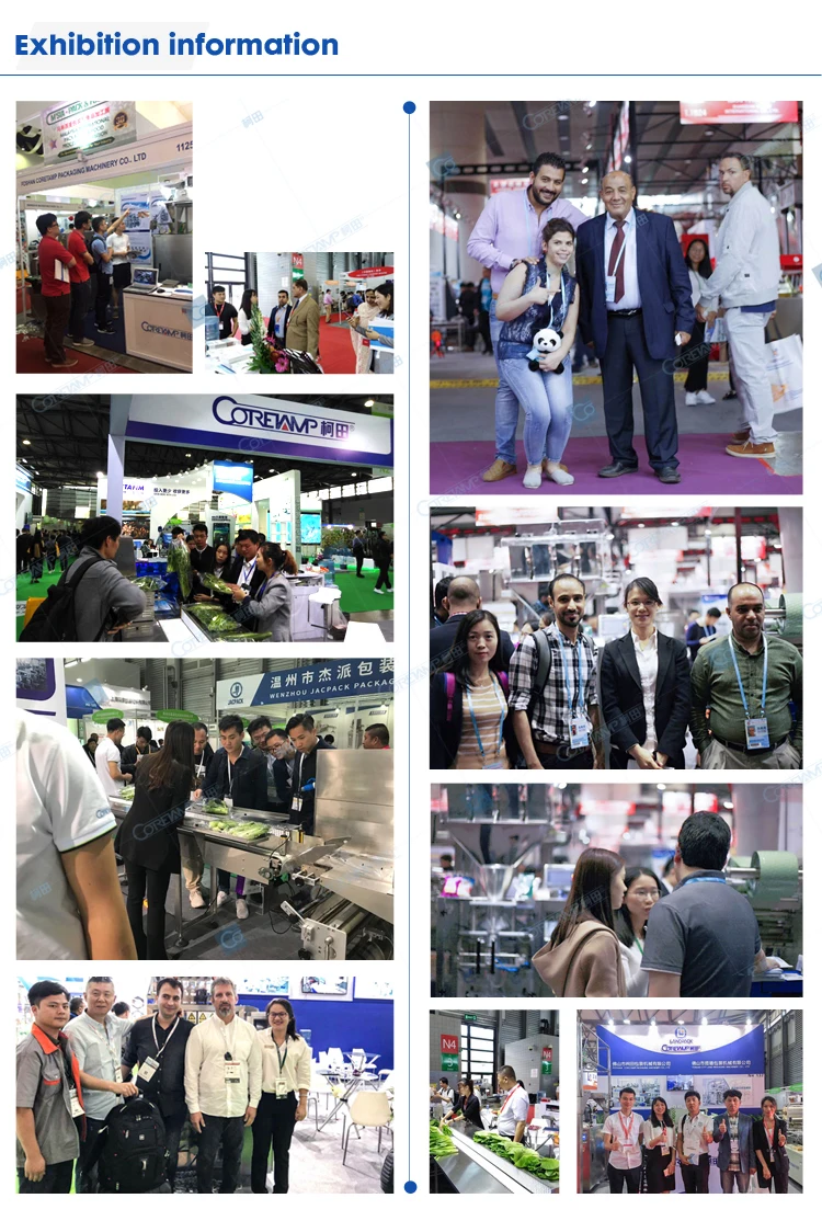 VT-160 Automatic Flat Bread Packing Machine - Easy & Efficient