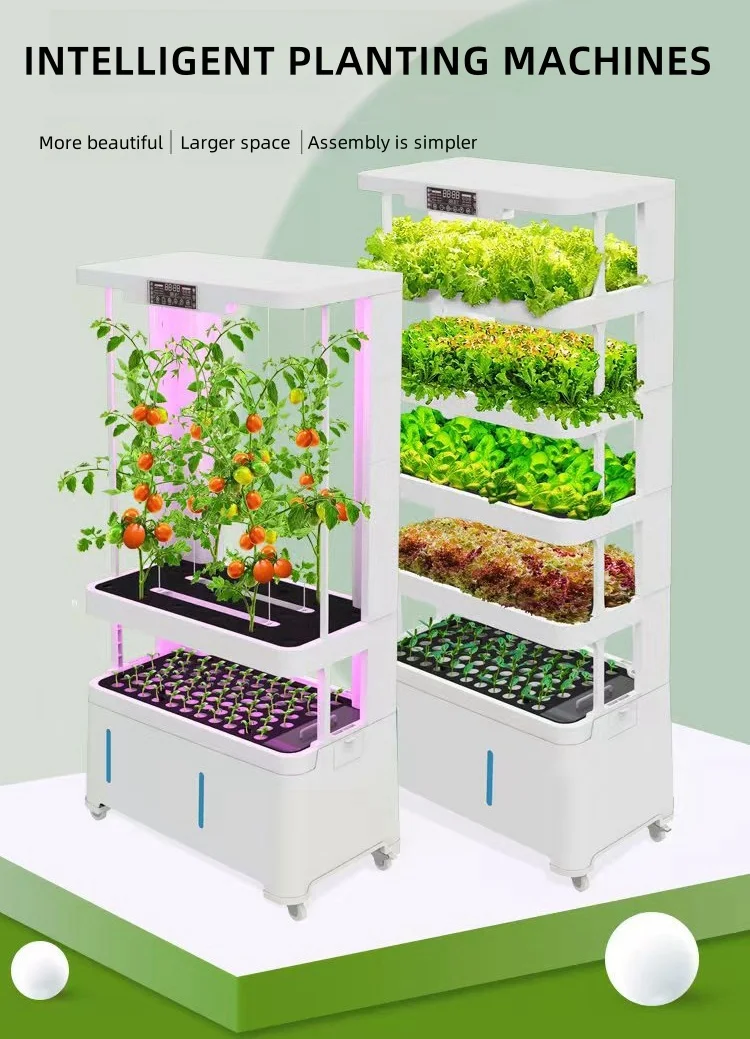 Hydroponic System with Spray Vegetables Planting Machine