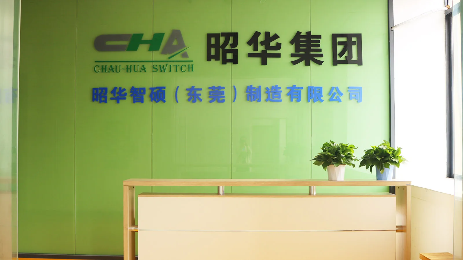 Cha 16(4)a 10a 125/250vac T125 5e4 25t85ขีดจำกัดคันโยกลูกกลิ้งสั้น250v ...