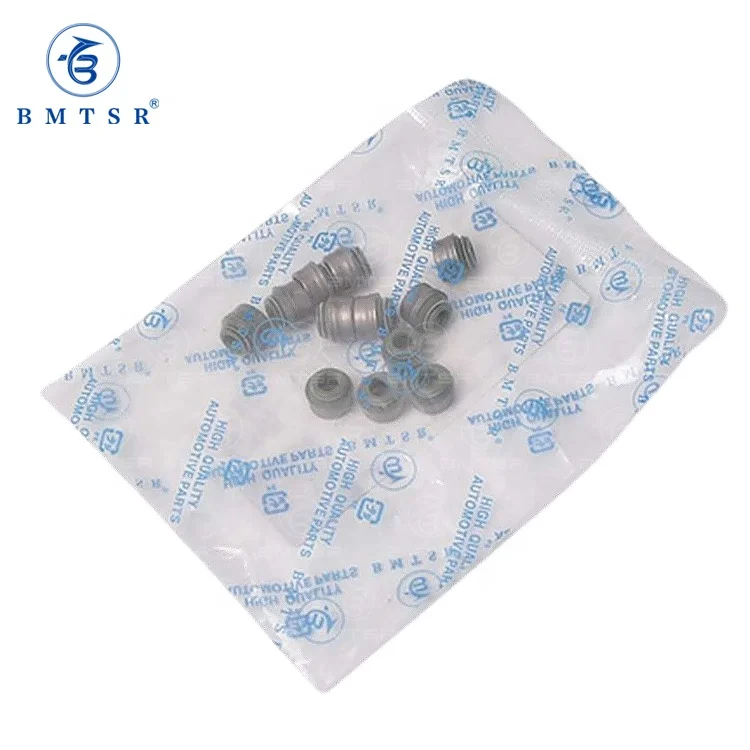 BMTSR Auto Parts M54 Engine Valve Seal Ring Repair Kit 11349064457 for ...