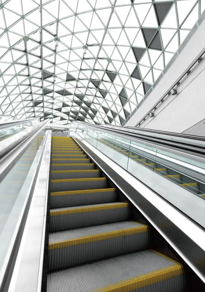 Professional Single Mini Home Electric Automatic Price Elevators ...