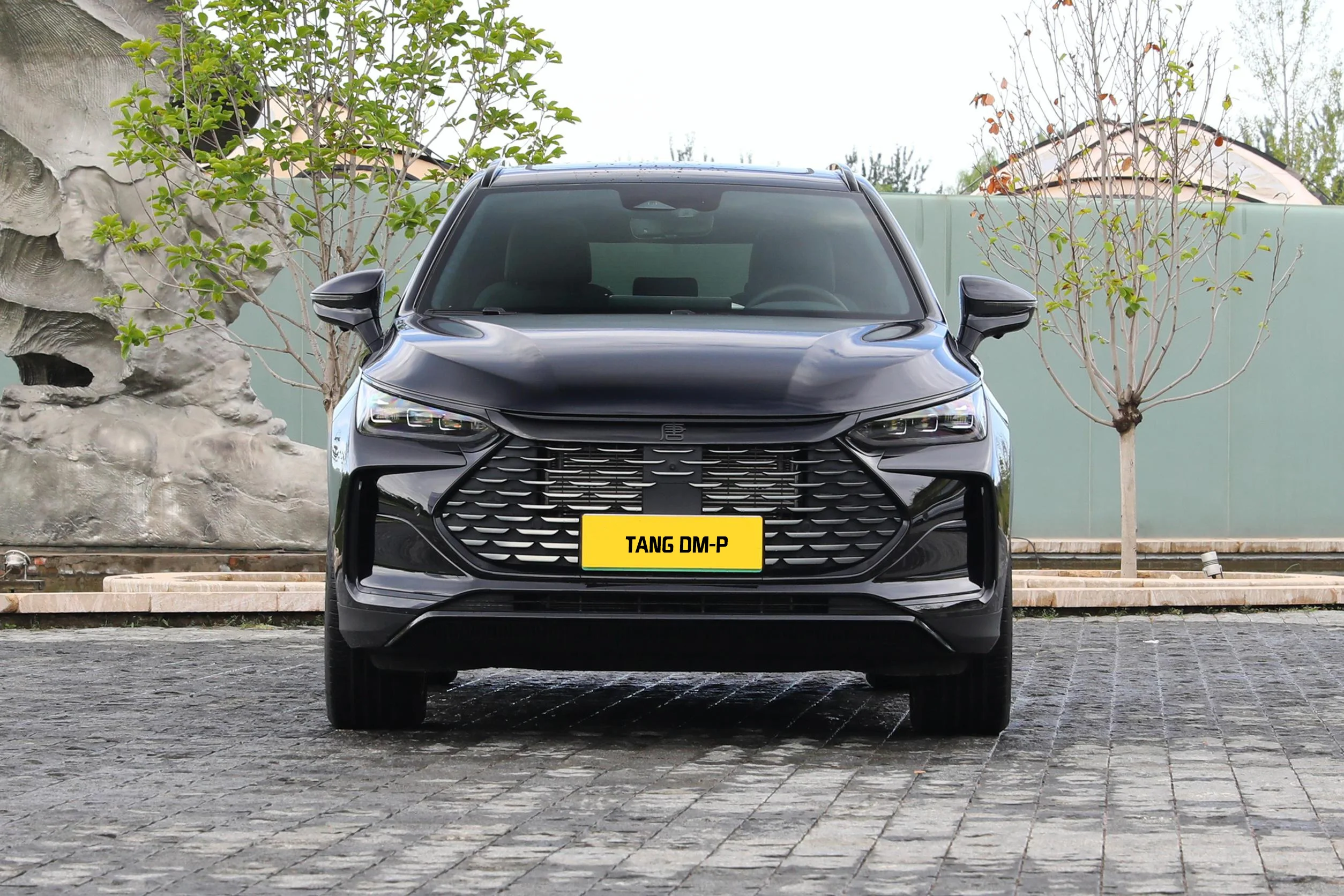 Wholesale 2024 BYD Tang DM-P SUV 4x4 Hybrid Car Byd Tang Electric SUV New Car for Sale From ...