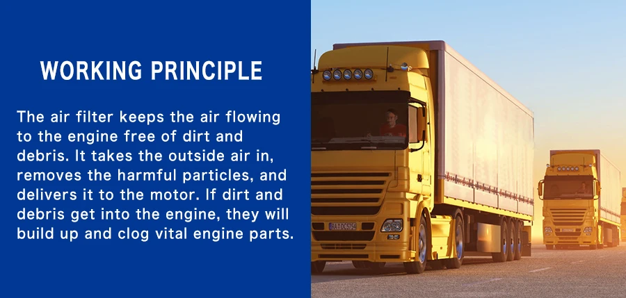 Hot Sale Truck Air Filter Af25139m P527682 46556 Af25139 Rs3518 P524095 ...