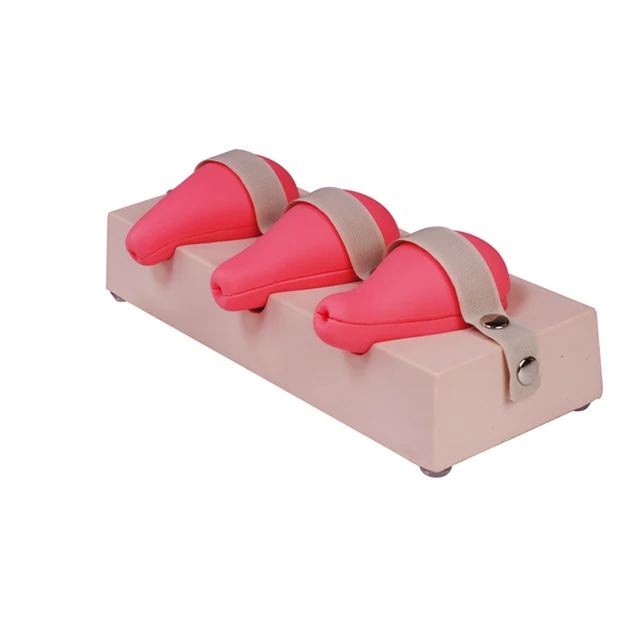 Artificial Abortion Uterus Demonstration Model - Buy Artificial ...