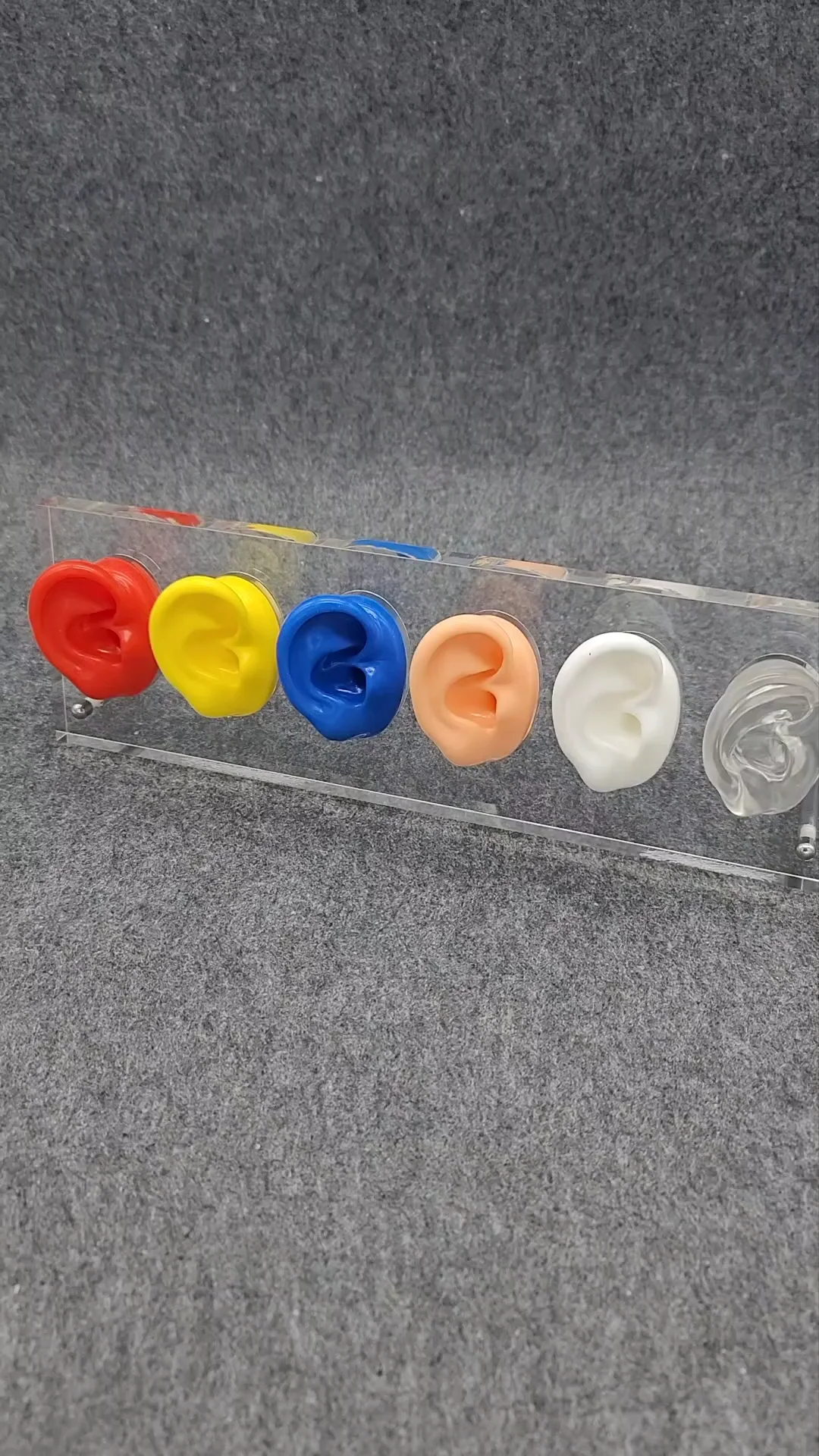 Hearing Aids Display Stand For Ear Silicone Human Ear Models Acrylic ...