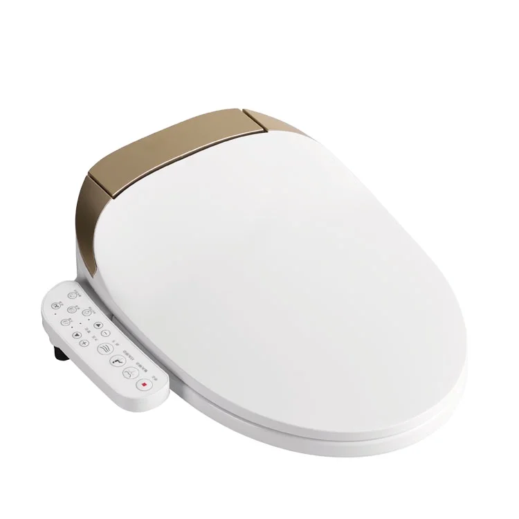 E2200 Custom Color Sided Control Panel Intelligent Smart Bidet Seat ...