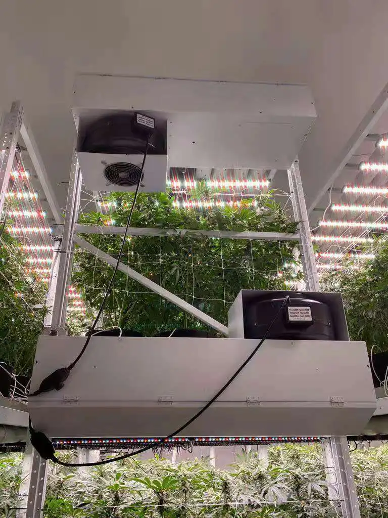 Vertical Farming System Grow Rack System For Indoor Smart Farm Mobile ...