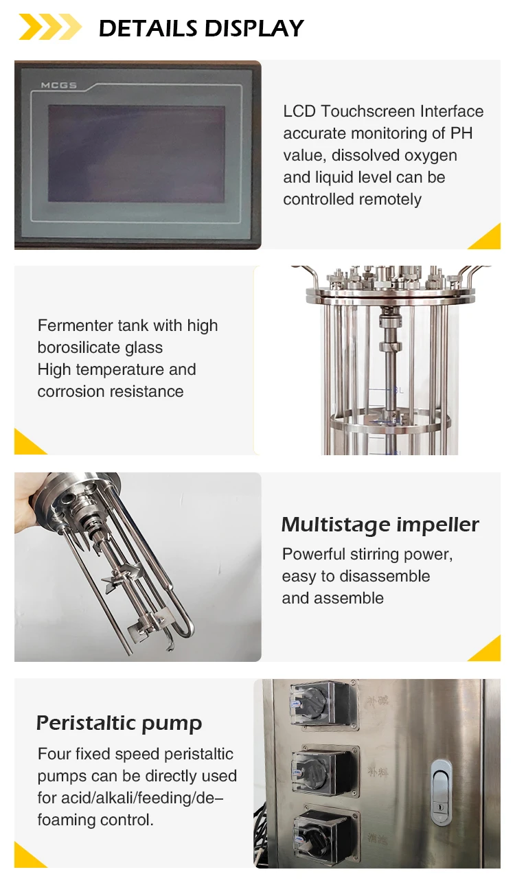 Mini Lab Benchtop Fermentation Bioreactor Cell Culture 0.25l 5l 10l 15l ...