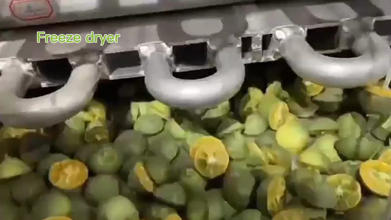 Dried Fruit Processing Machine Freeze Fruit Dryer Machine Drying ...