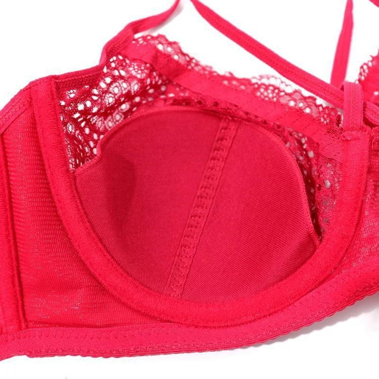2023 New Sexy Hollow C D Cup Bras Sets Thin Lace Ladies Bra And