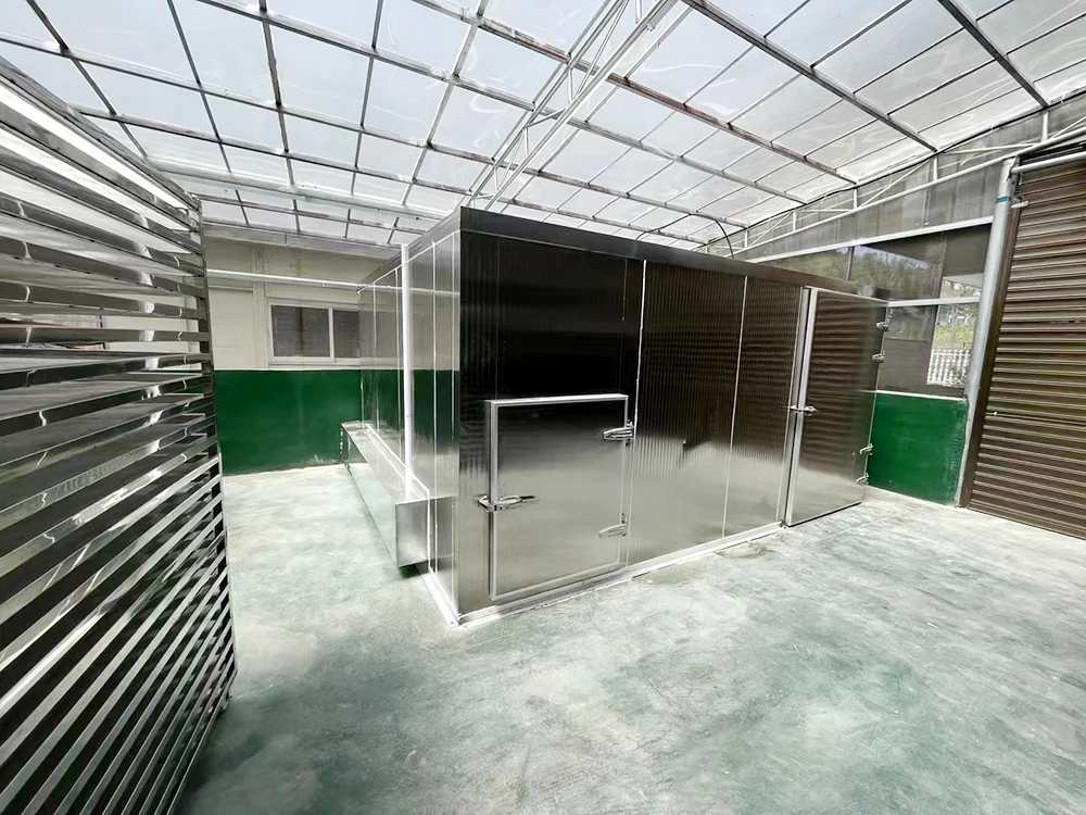 Garlic Peeling Production Line - Efficient Drying Solutions