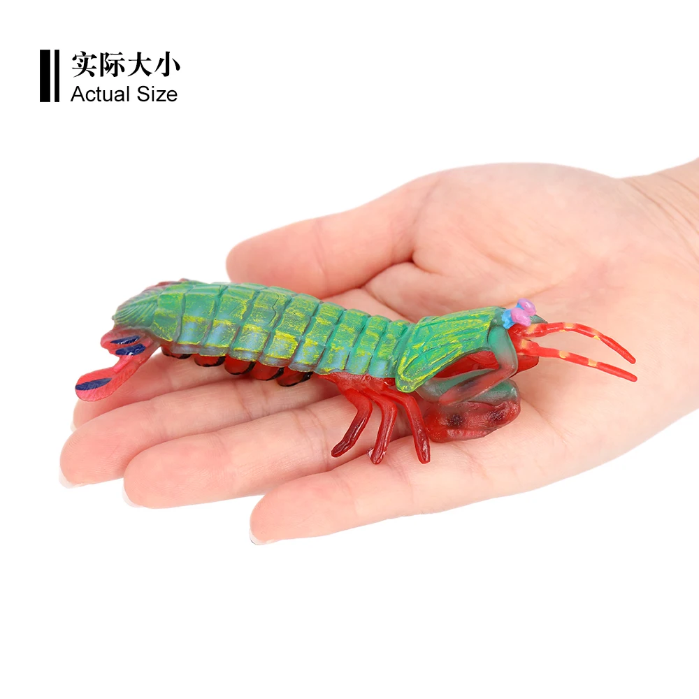 Alibaba.com: Solid PVC peacock mantis shrimp marine figurines, ocean ...