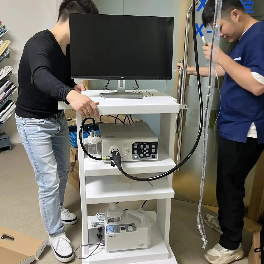 Portable Veterinary Flexible Endoscope Surgical Instruments Gastroscopy ...