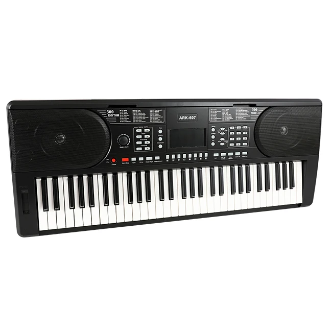 Aierke ARK607 Electronic Organ - 61 Keys for Music Education