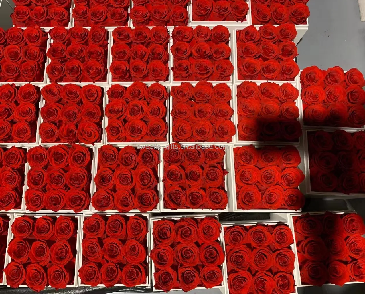 Wholesale Everlasting Rosas Preservadas - Eternal Flowers