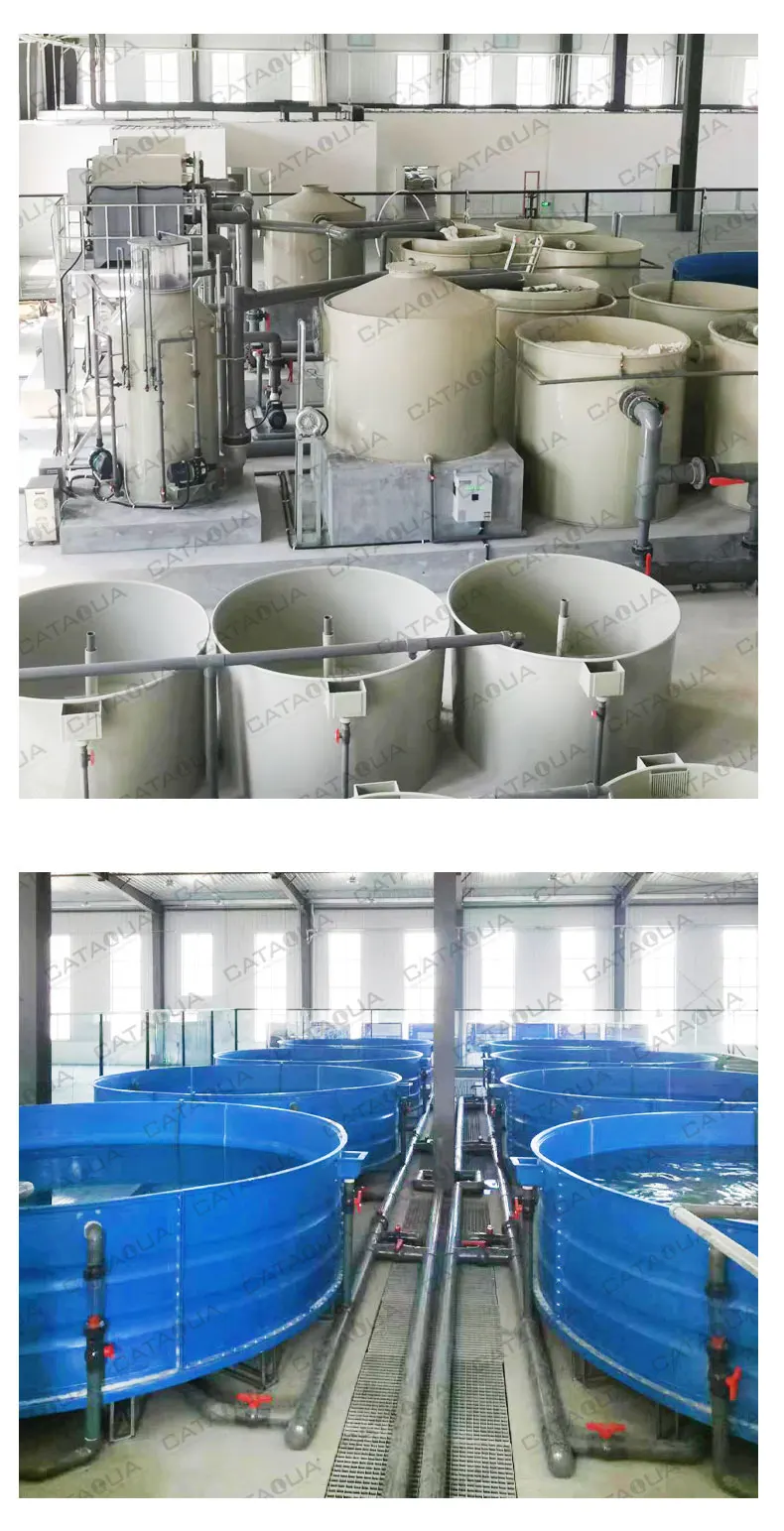 CATAQUA Ras Aquaculture Indoor Fish Farm Fish Farming Equipment for ...