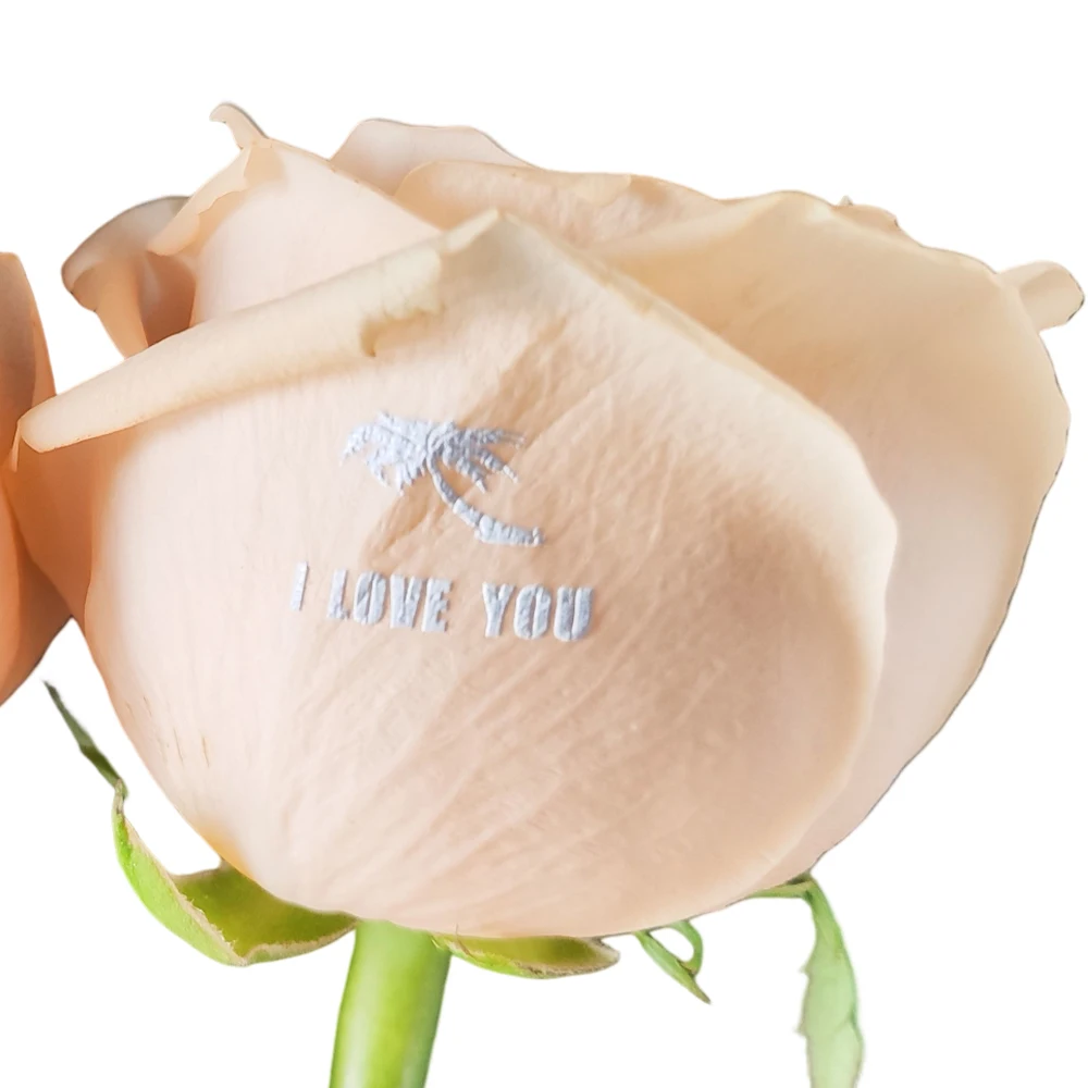 Customized Multifunction Printer with Fresh Rose Logo