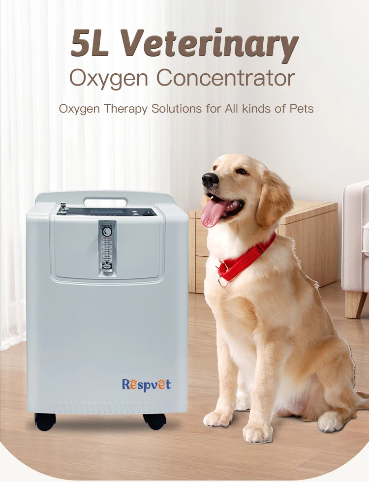 Longfian Portable 5l Veterinary Oxygen Concentrator,Providing Oxygen ...