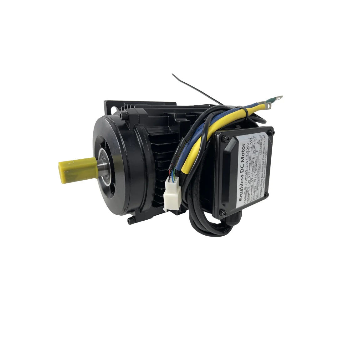 Brushless Dc Motor Bldc Motor 48v 2.2kw 3000rpm For Intelligent ...