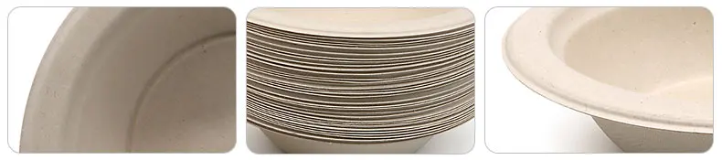 Oasis Compostable Biodegradable Disposable Sugarcane Bagasse Pulp Mould ...