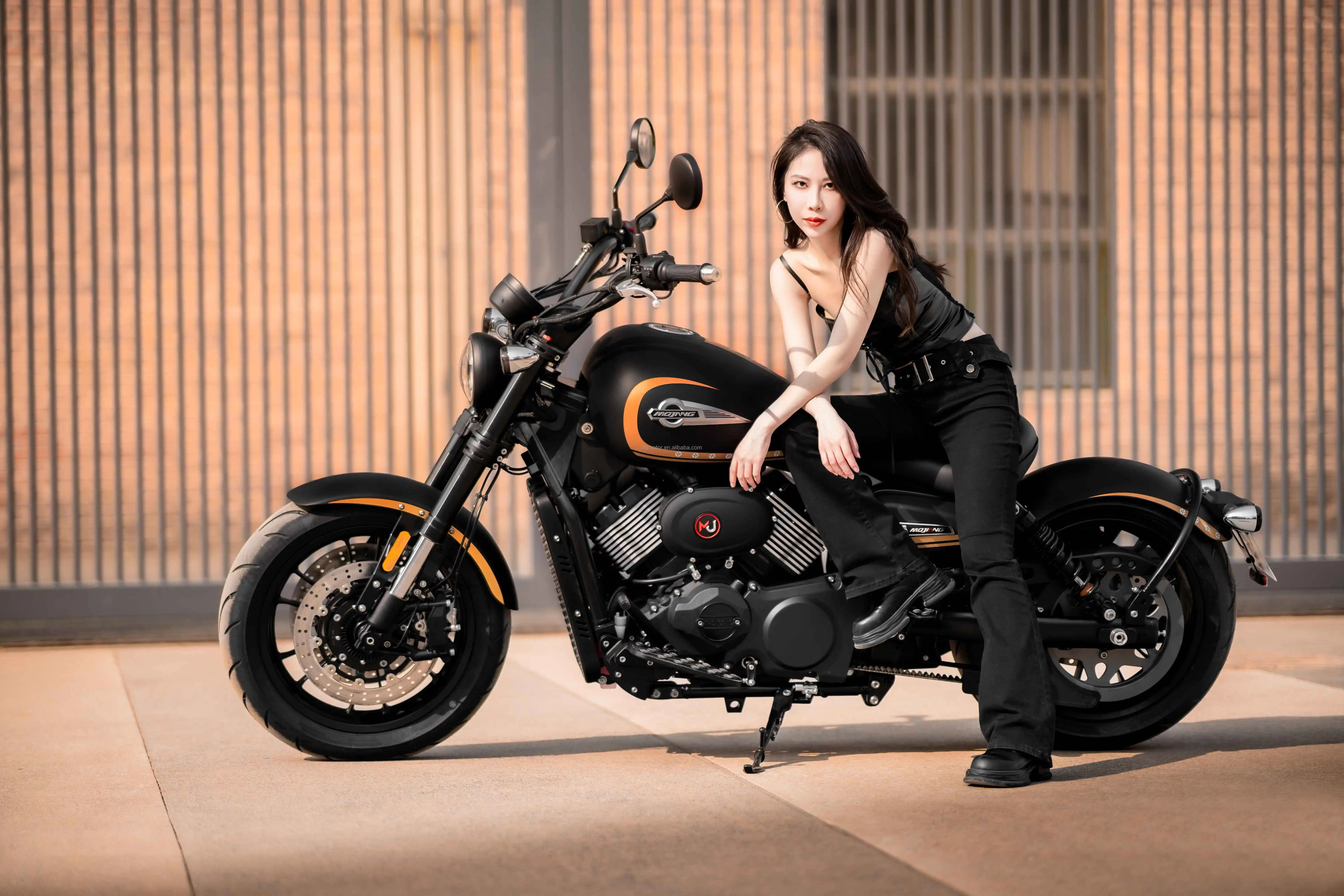 High Performance 2025 800CC Cruiser Motorcycle with V-type Twin ...