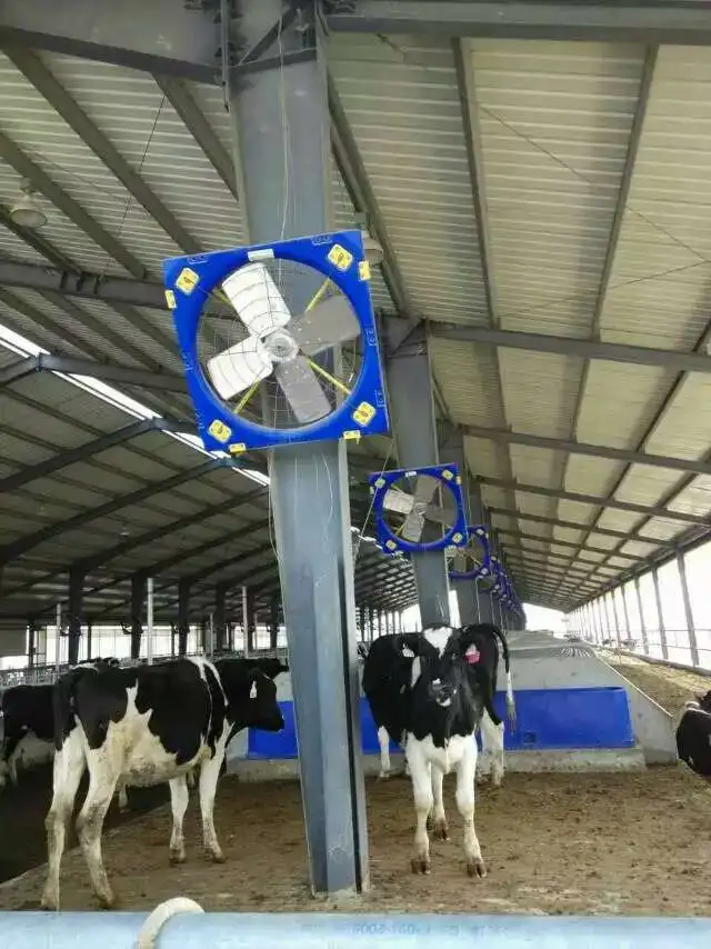 Livestock Greenhouse Fan Dc Hanging Industrial Cooling Fans Farm Fan ...